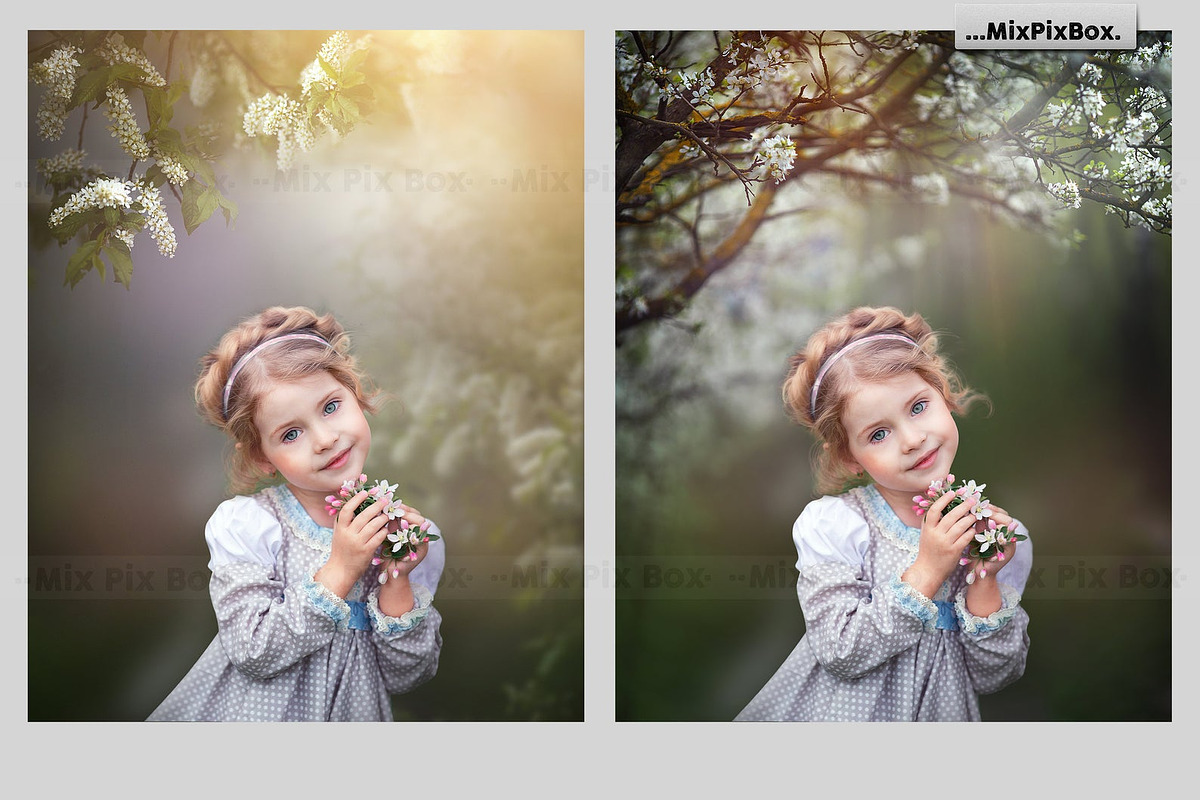 Spring Portrait Backgrounds, a Wallpaper Graphic by MixPixBox