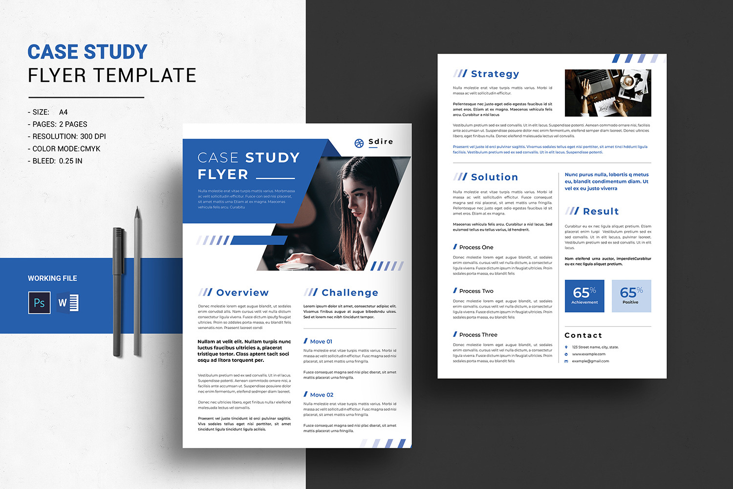 Case Study Flyer Template, a Flyer Template by crazyOWL