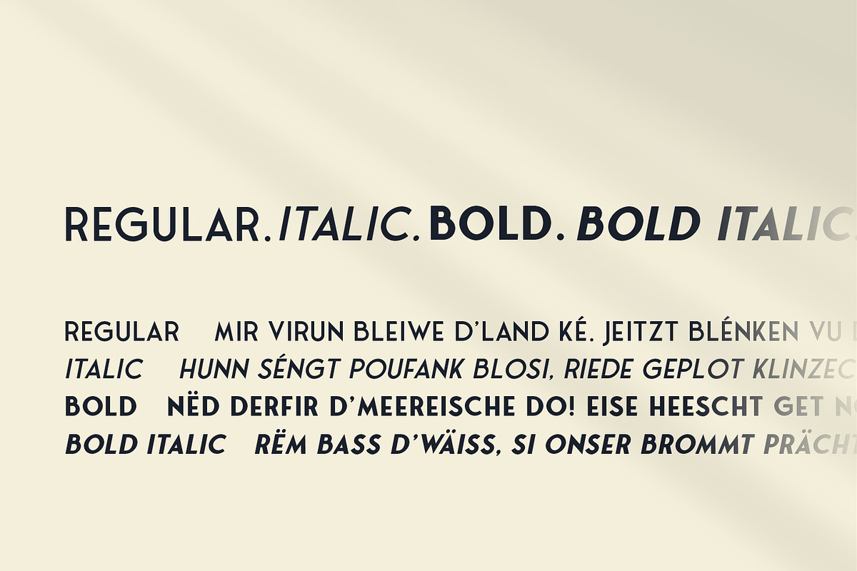 Fonseca ~ Regular & Bold, a Sans Serif Font by Nasir Udin