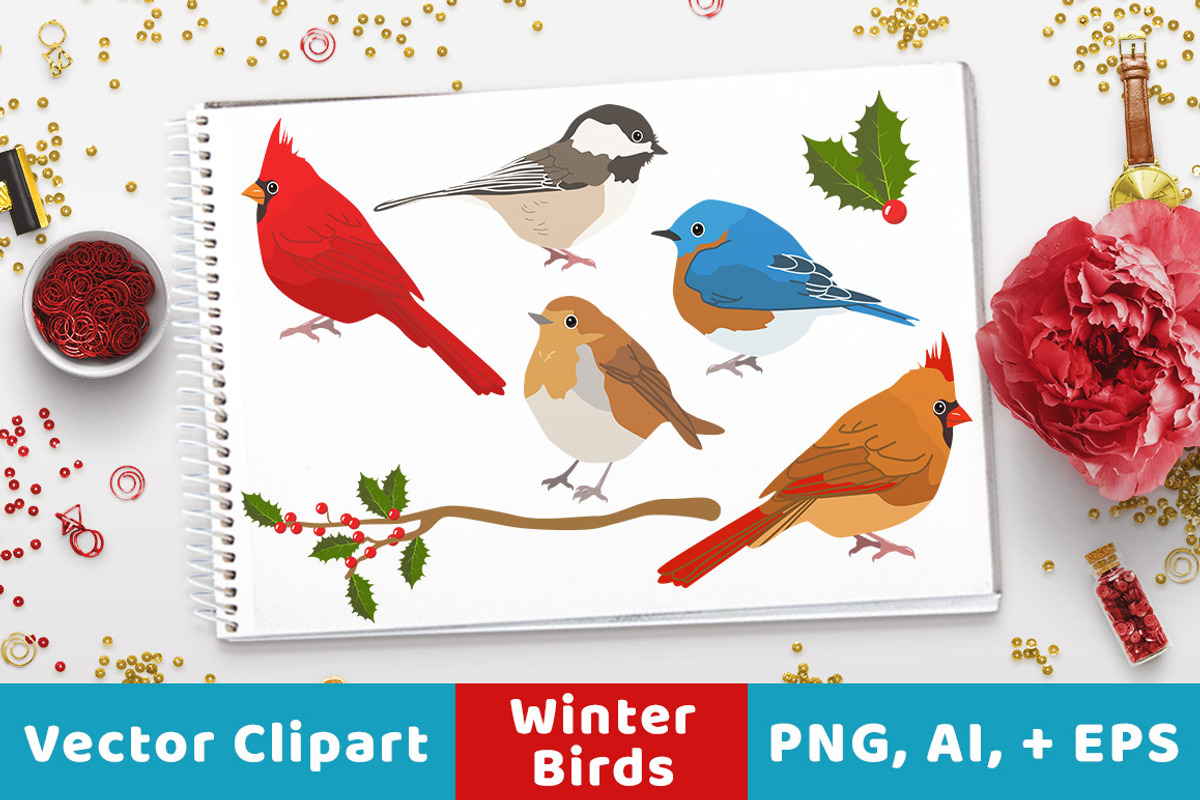 Winter Birds Christmas Clipart, an Animal Illustration by The Digital ...
