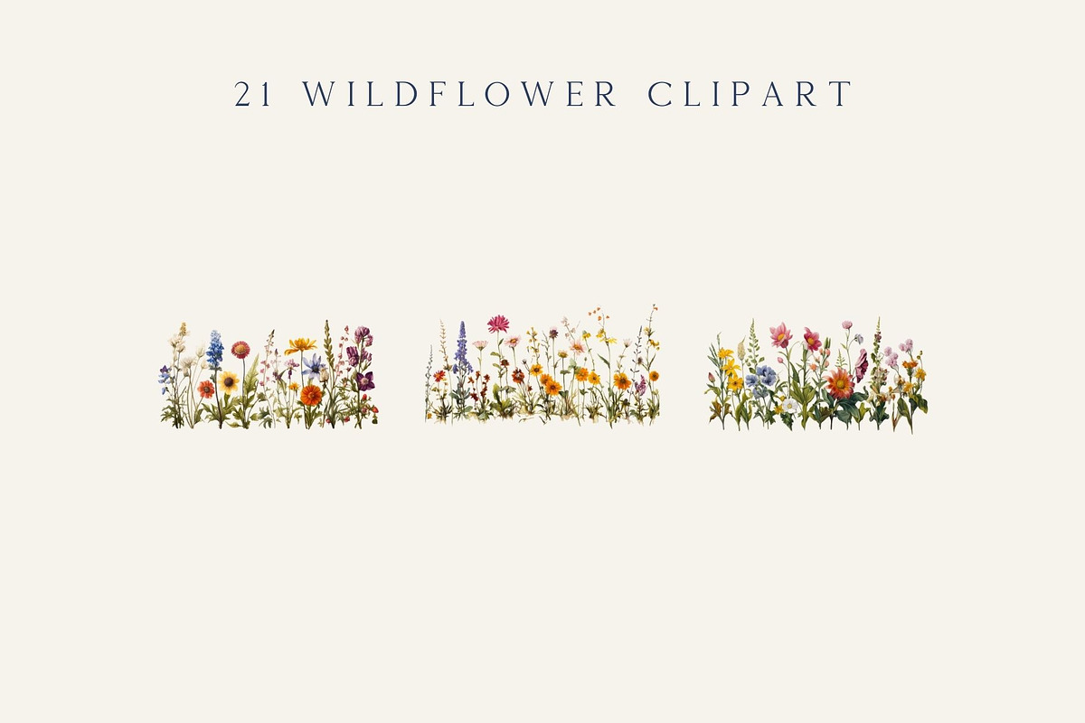 Wildflowers Borders Clipart