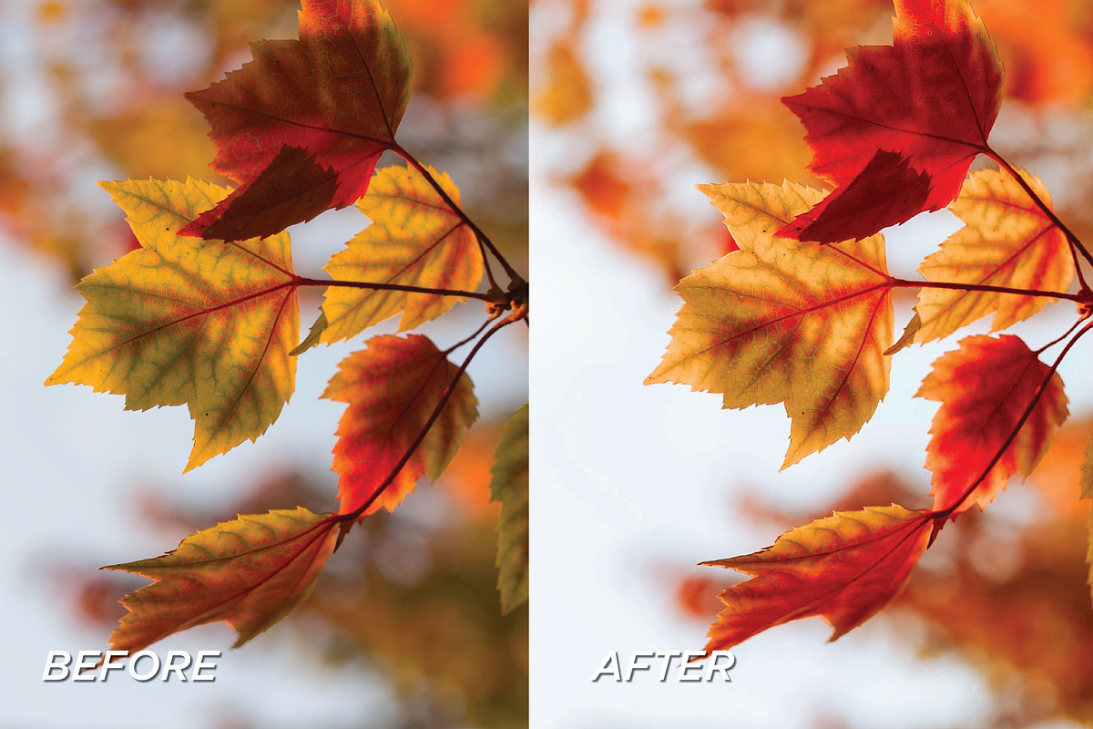 15 Autumn LR Presets + Video LUTs, a Preset Add-On by TheWayfarerShoppe
