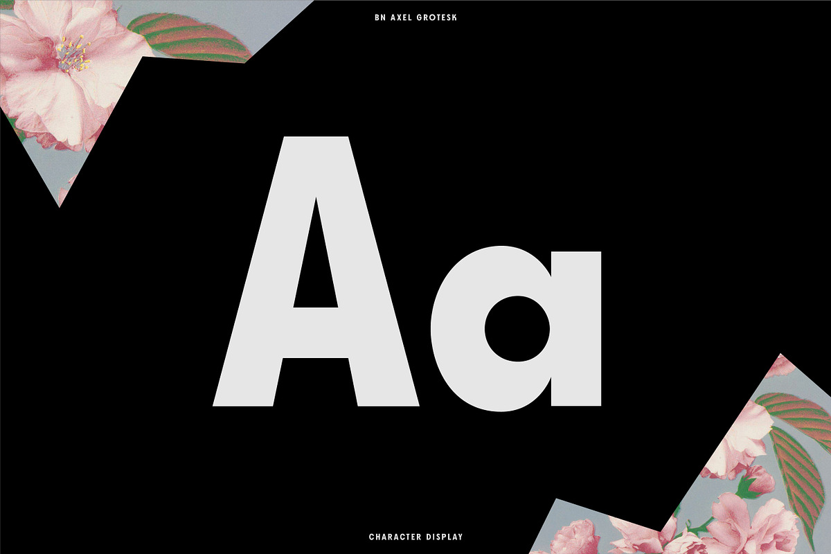 Axel Grotesk - A Sans Serif Typeface, a Sans Serif Font by Bnick