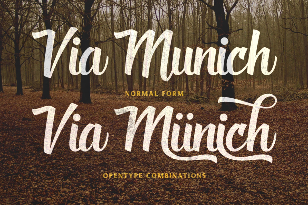 Deadhead Script, a Script Font by Twicolabs Fontdation