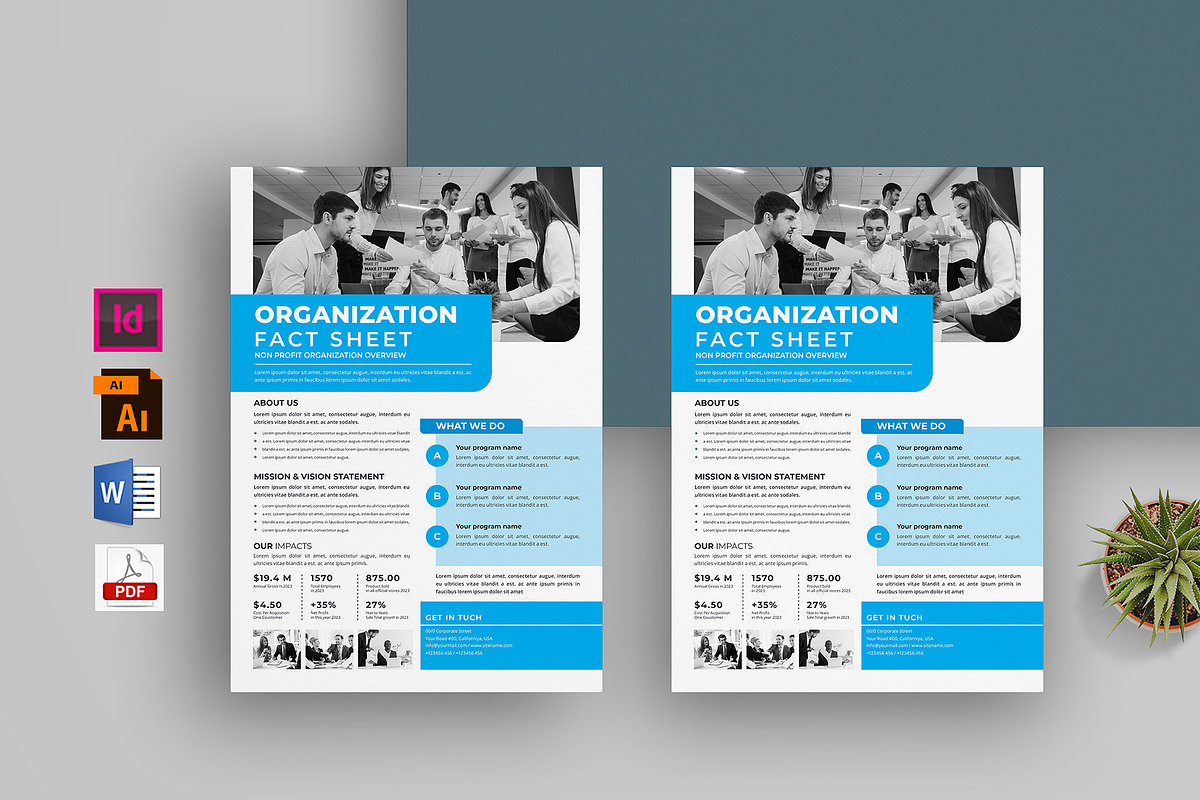 Nonprofit Organization Fact Sheet, a Flyer Template by obayes