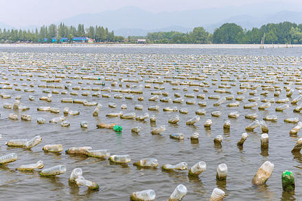 Shellfish farm from plastic bottles featuring shellfish, cultivation ...