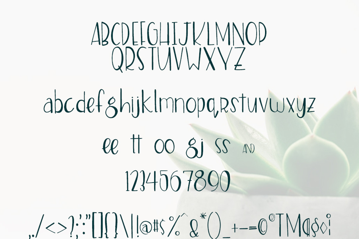 Stella Font, a Handwritten Font by Groovy Fonts by Mindy
