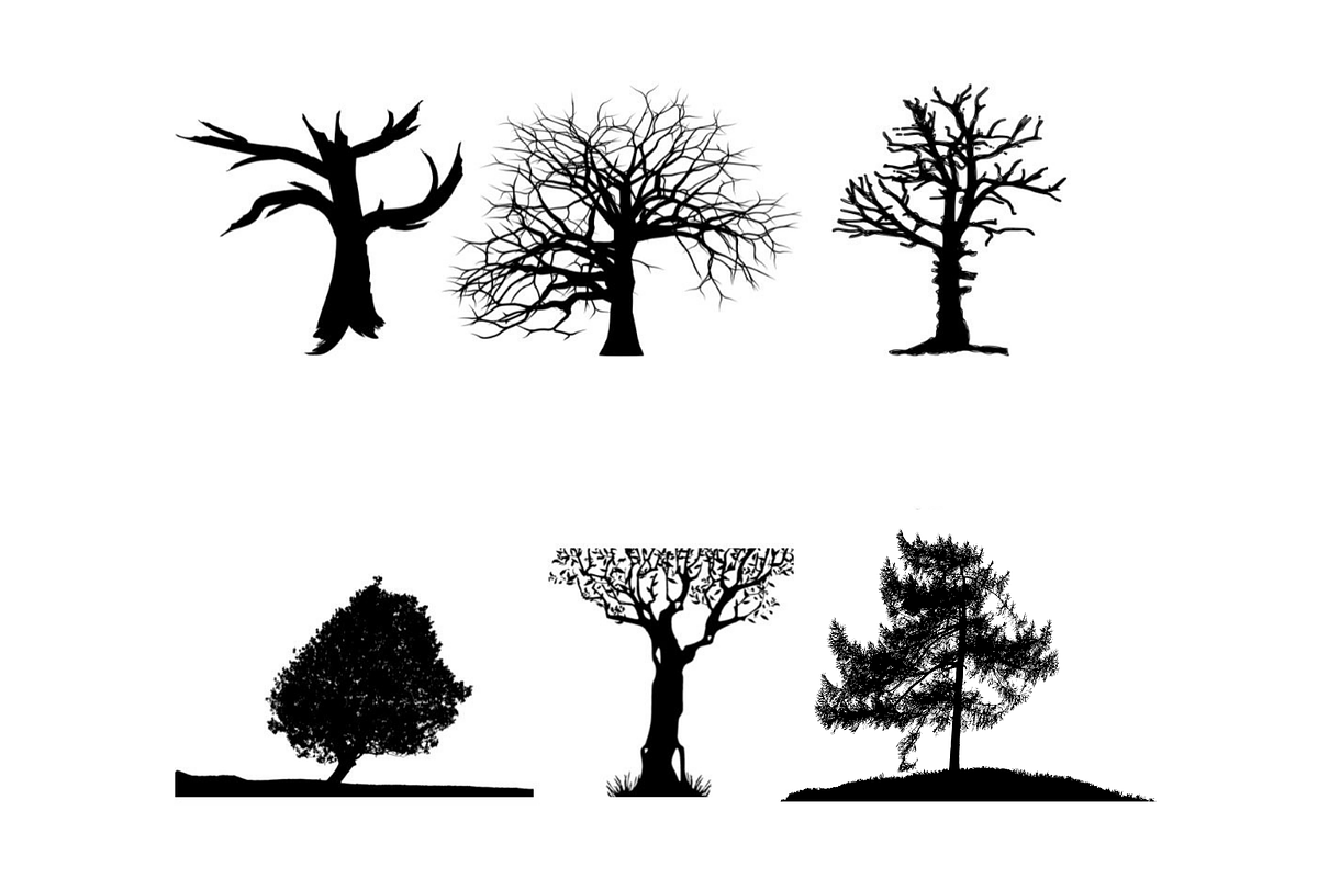 Tree SVG, Plant SVG, an Illustration by Awieee1