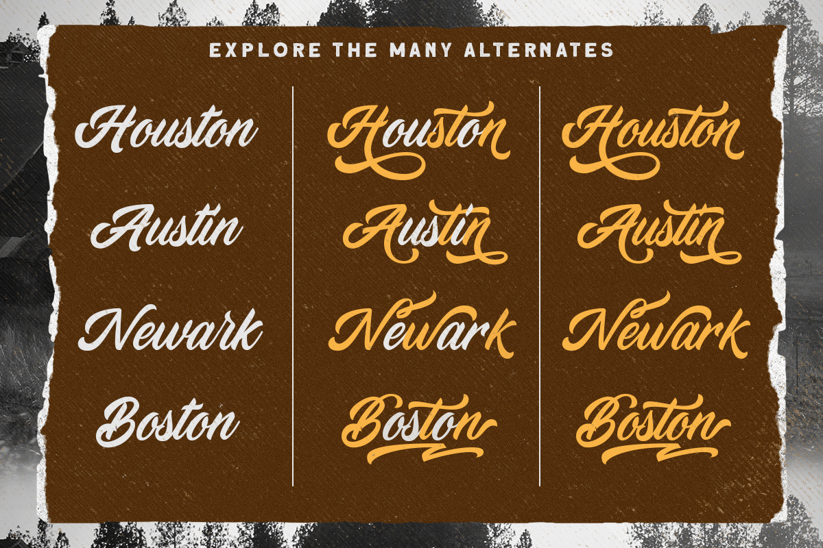 Devilion - Hand Lettering Script, a Script Font by Letterhend Studio