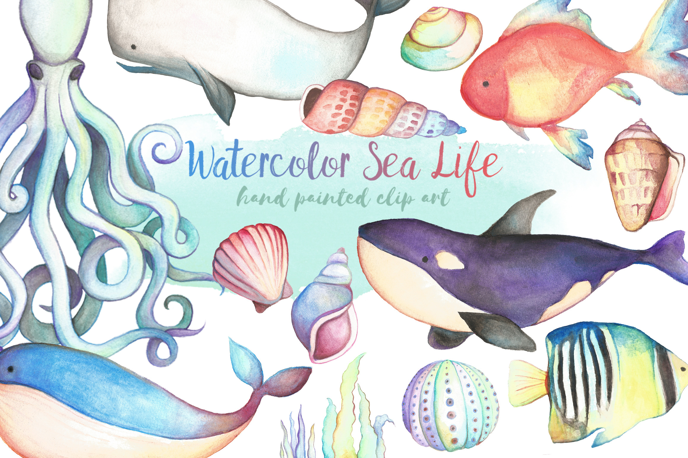 Watercolor Sea Life Clipart Bundle, an Animal Illustration by Kenna ...