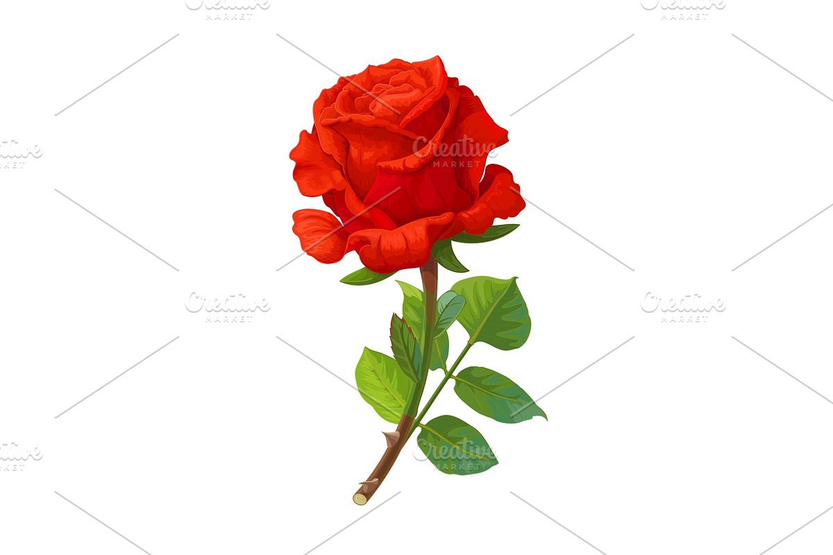 vector realistic rose flower art, a Decorative Illustration by WINDmade