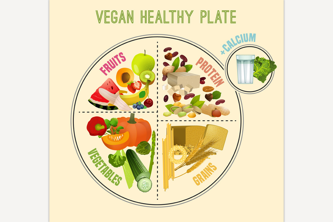 Healthy Eating Plate, an Education Illustration by Anna's Shop