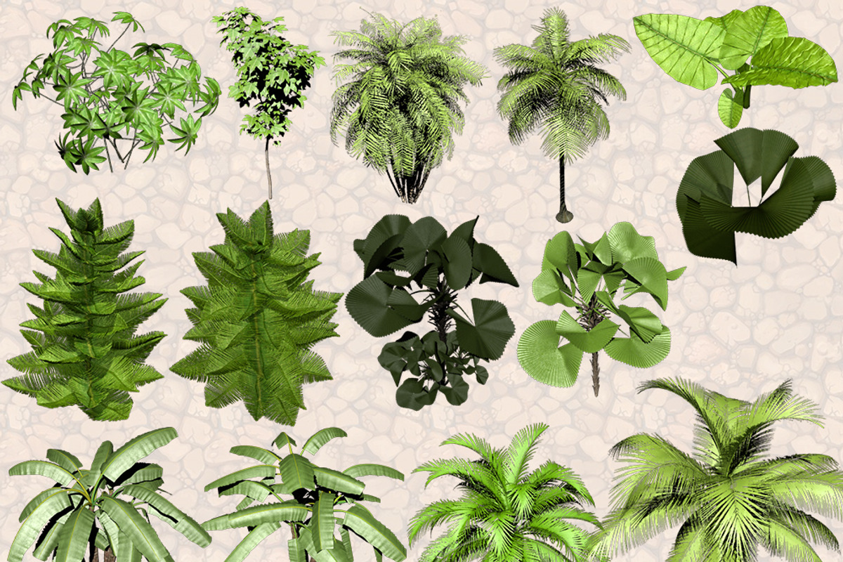 NATURE OBJECTS, an Object Graphic by Beatheart Creative Studio