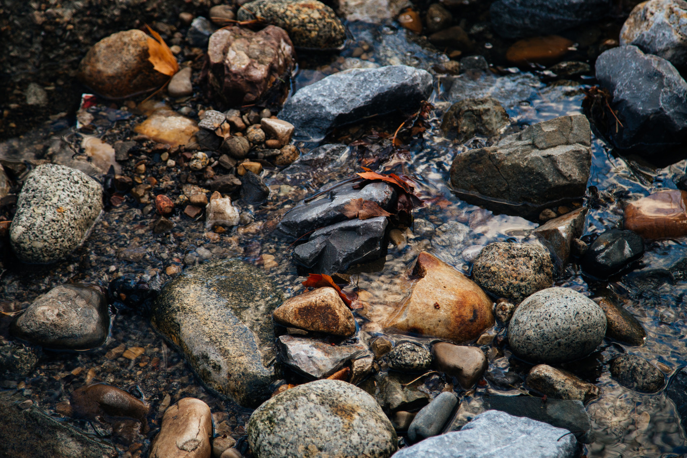 River Rocks in Winter Water, a Nature Photo by MarkieAnn Photography