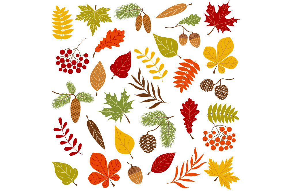 Autumn Forest Clip Art, an Illustration by TheCreativeMill