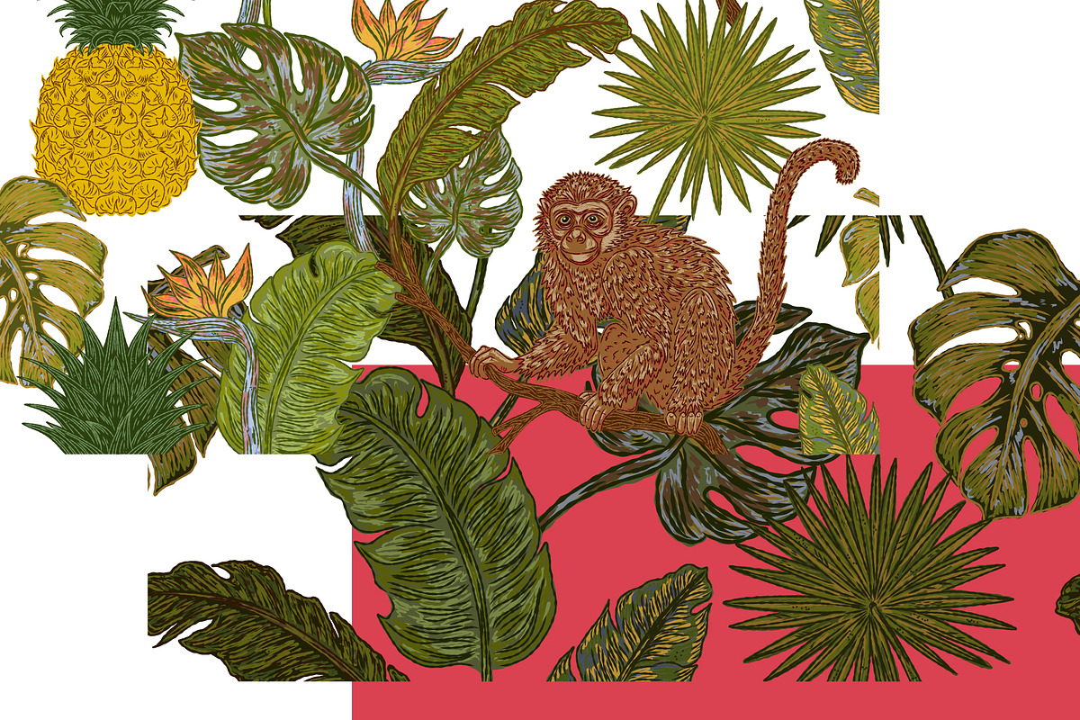 Tropical Monkey, Pineapple