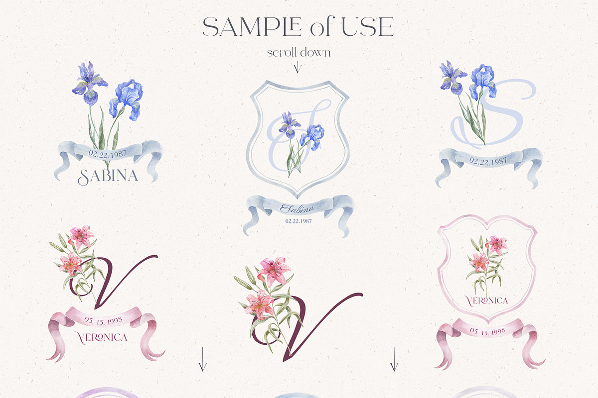 Birth-Flowers. Watercolor & Line Art, a Decorative Illustration by ...