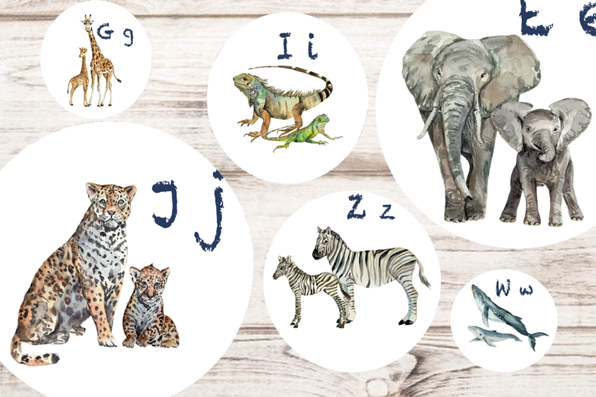 Watercolor Abc Animals Posters, an Animal Illustration by Tati Bordiu