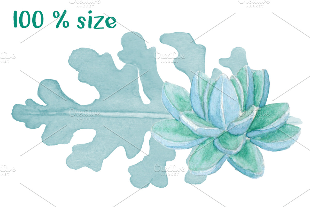 Wedding Watercolor Succulent Set, a Decorative Illustration by WBS Design