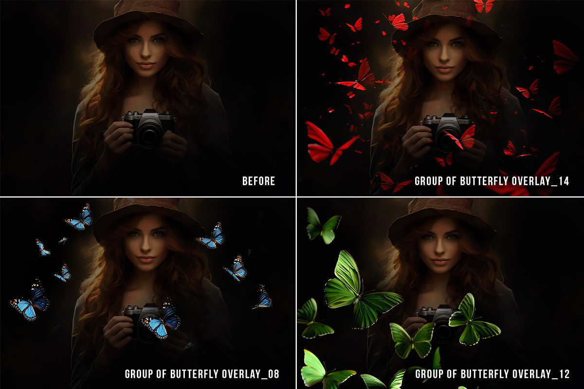 Butterflies png transparent overlays, a Layer Style Add-On by Walllow ...