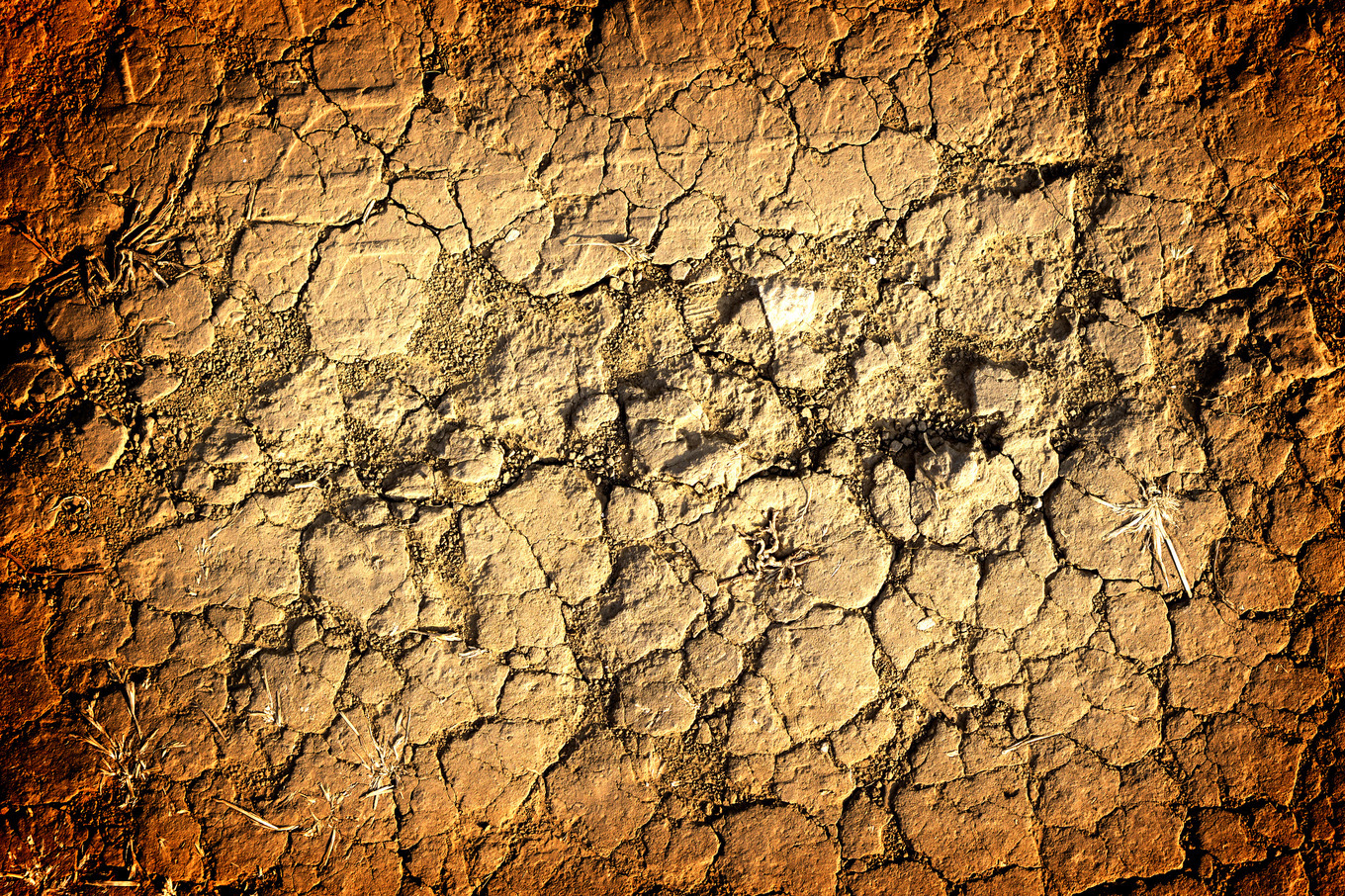 Withered earth with cracks texture, an Abstract Photo by PhotoVector