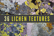 36 Lichen Textures, a Texture Graphic by MarkieAnn Creative