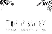 Briley Typeface, a Sans Serif Font by Sweet Little Muse