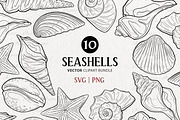 Seashell Vector Clipart Bundle, an Illustration by MadliArt