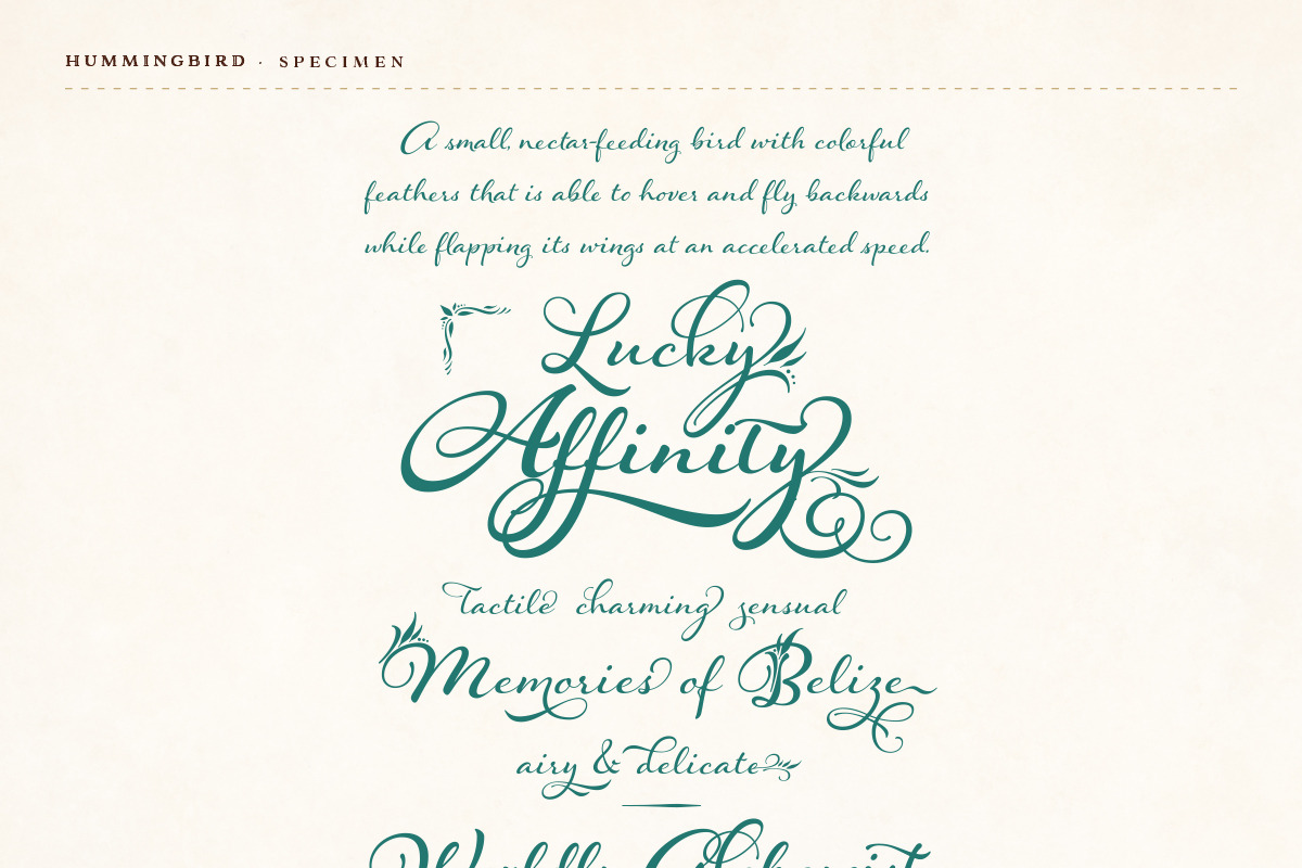 Hummingbird - Bold, a Script Font by Laura Worthington