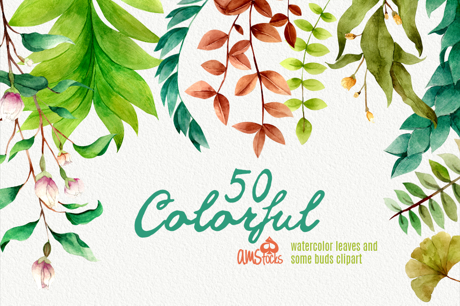 50 Colorful Leaves, an Object Graphic by AMStock
