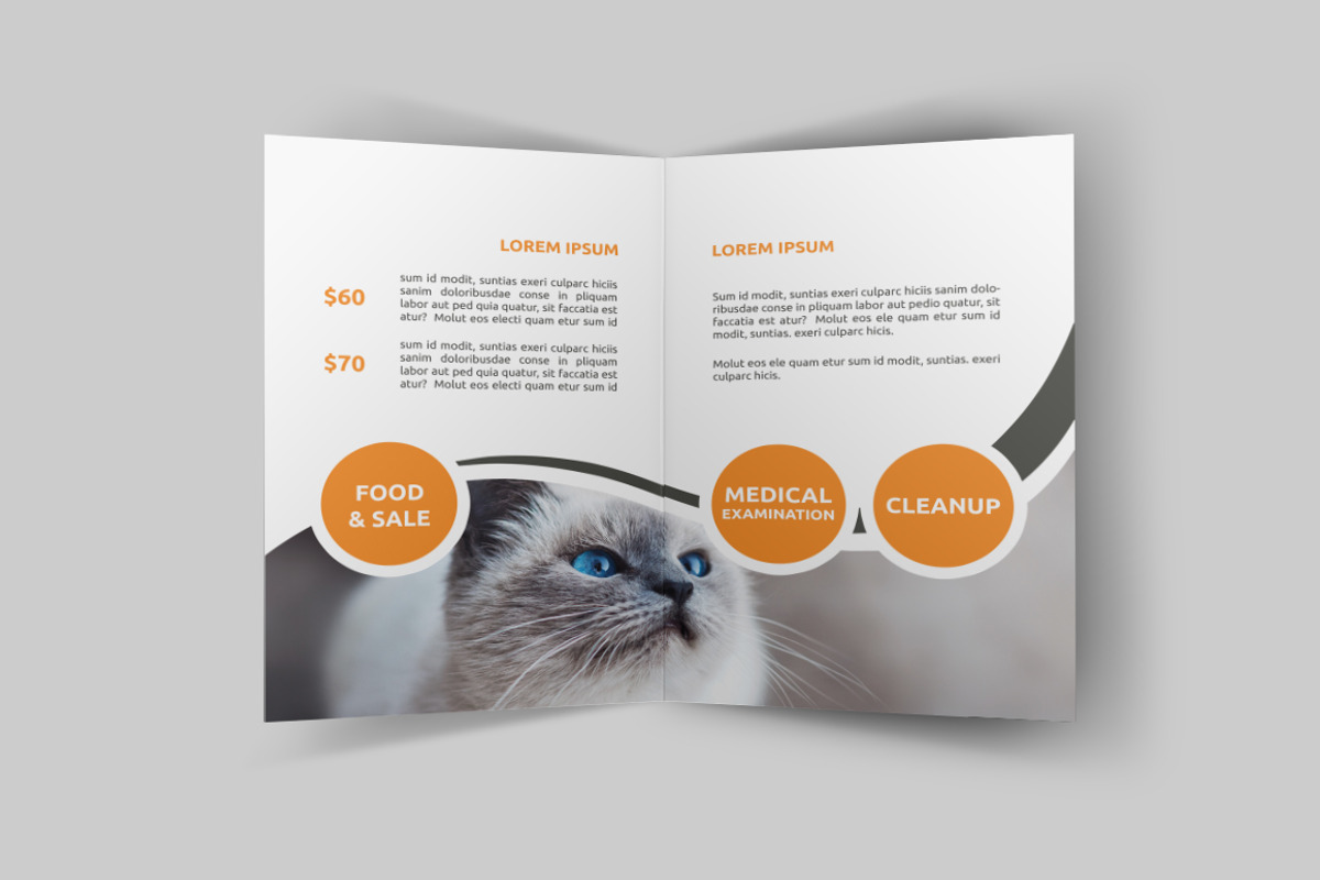 Pet Shop Bi-Fild Brochure, a Brochure Template by Creatricks | Creative ...