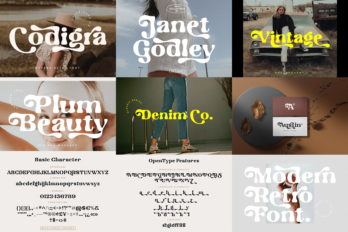 The Modern & Unique Font Bundle #02, a Serif Font by Prioritype Co