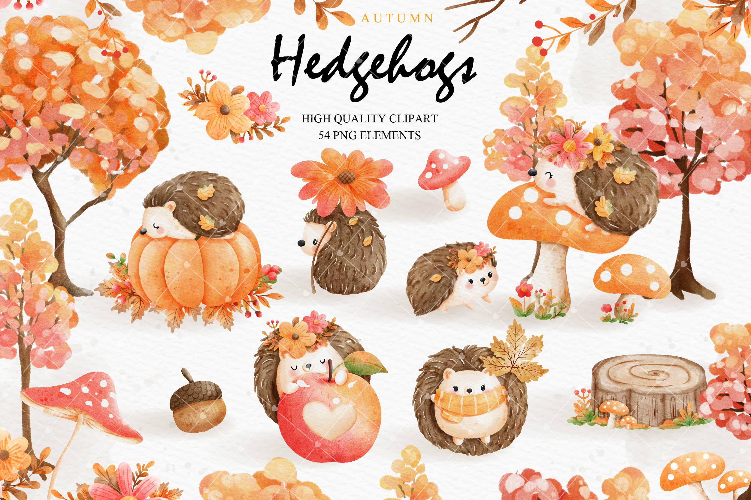 Autumn hedgehogs cliparts, an Animal Illustration by Chonnieartwork