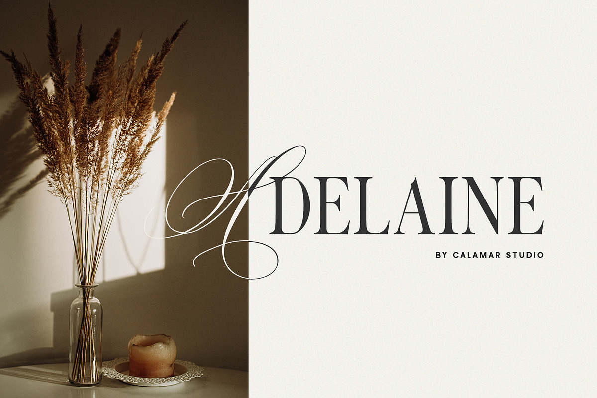 Monique Display Font Duo | Logo Font