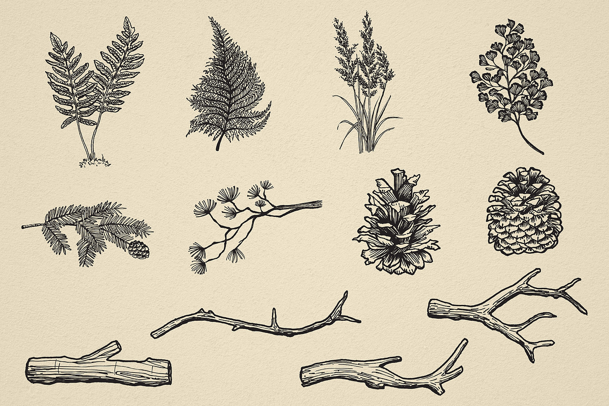 Nature Forest Hand drawn Elements #1, an Illustration by Abi Afandi