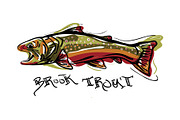 brook trout vector