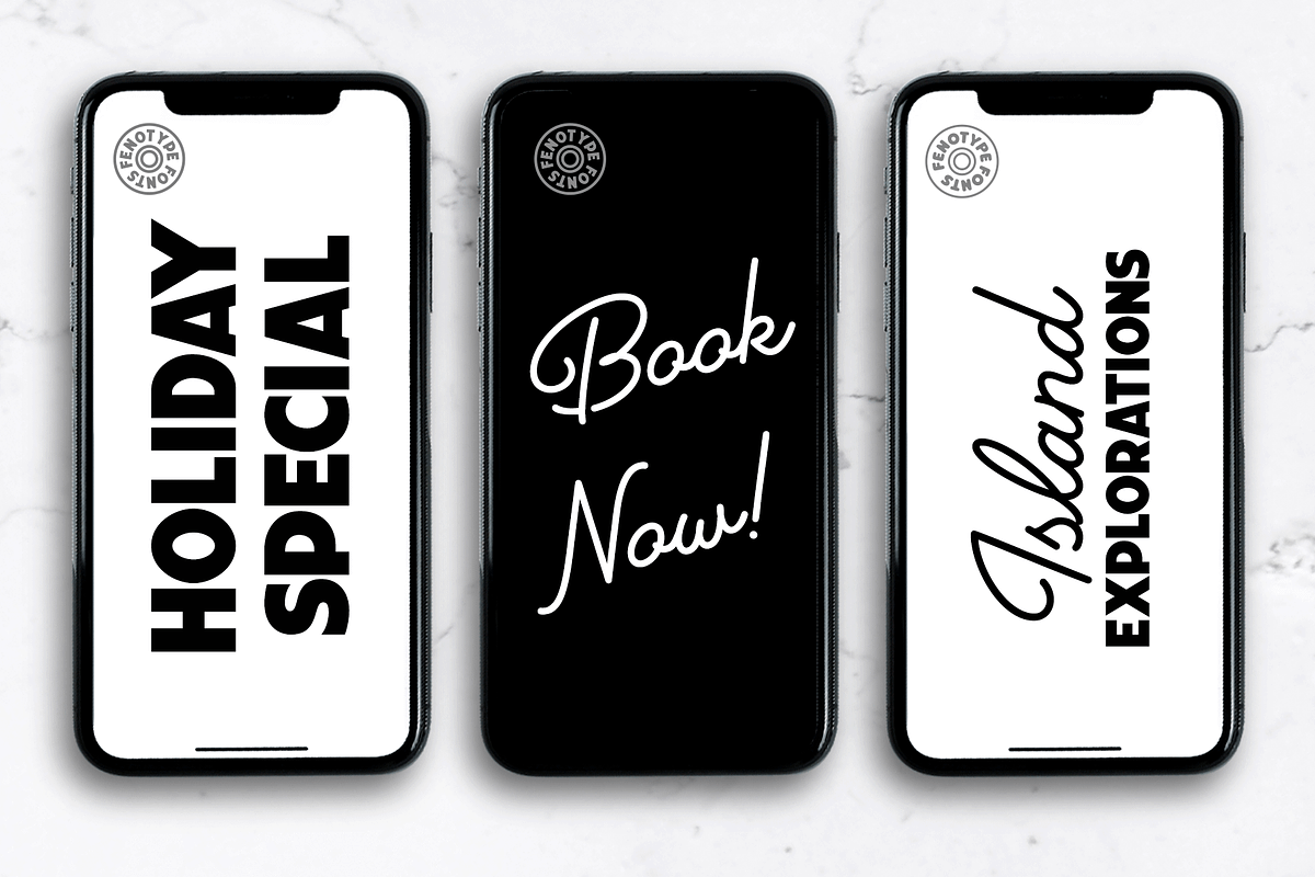 Travel Poster Font Duo, a Script Font by Fenotype