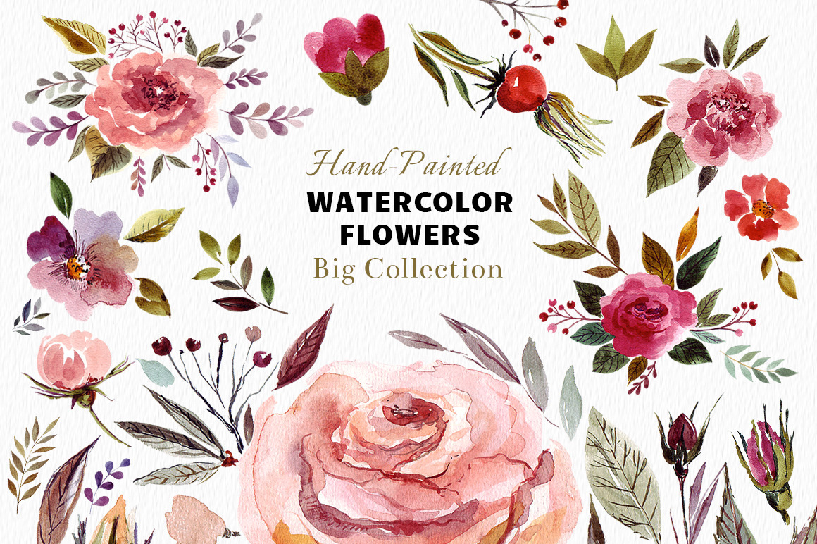 Big Watercolor Bundle, a Decorative Illustration by MoleskoStudio