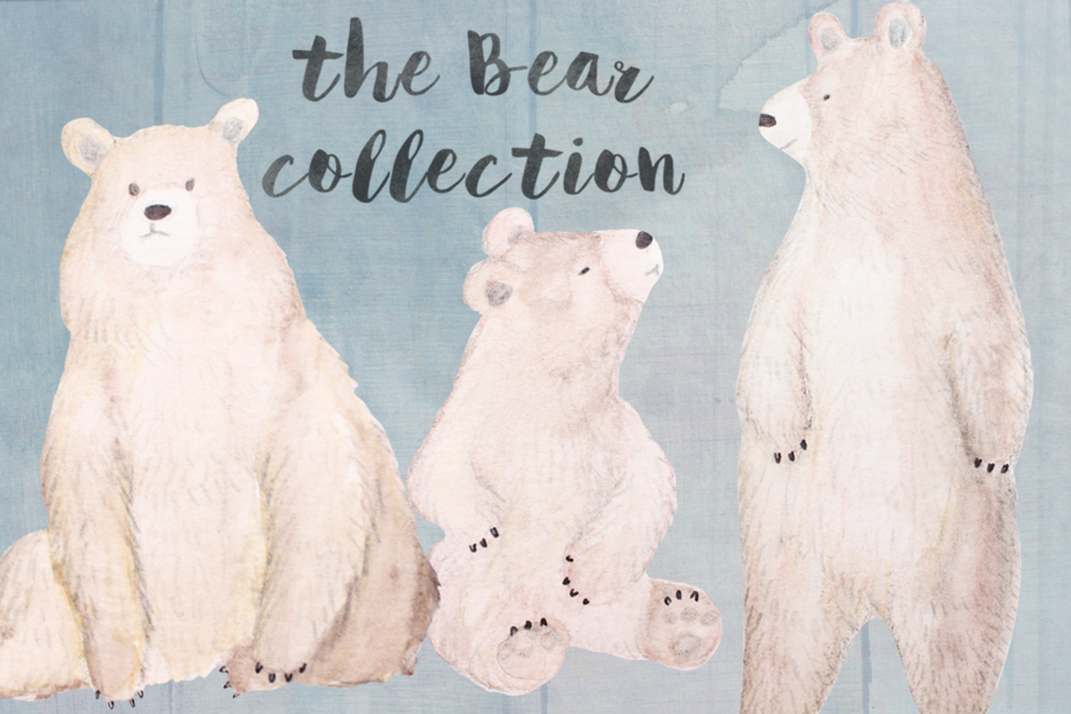 Watercolor Bear Digital Graphics, an Animal Illustration by ...