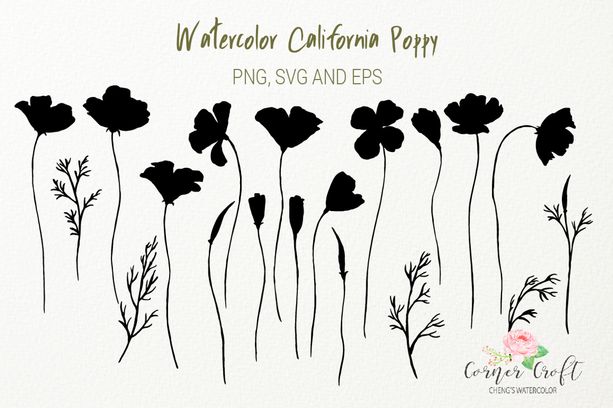 California Poppy PNG, EPS, SVG, an Illustration by Corner Croft