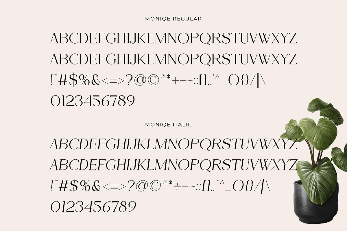 Moniqe - Modern Elegant Serif Font, a Serif Font by Muflieart