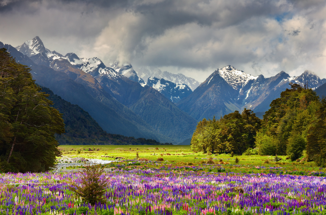 Beautiful valley featuring new, sky, and alp, a Nature Photo by Shop Name