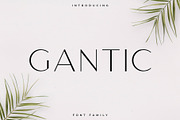 Gantic Font Family - Sans Serif, a Sans Serif Font by RC graphics