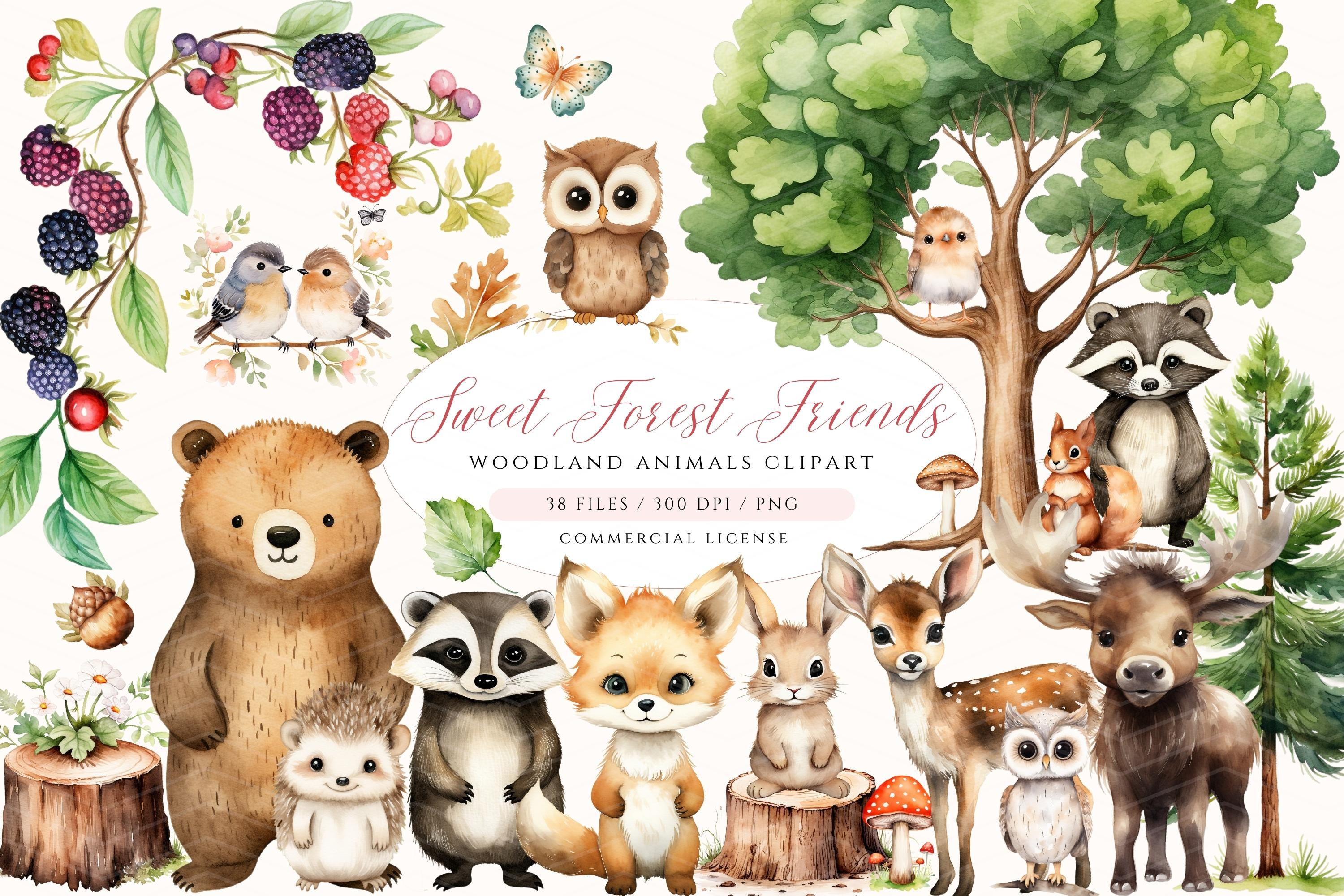 Woodland Animals Clipart Forest, an Animal Illustration by ClipArtCharm