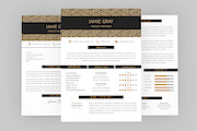Sparkle Resume Designer, a Resume Template by AQR Studio