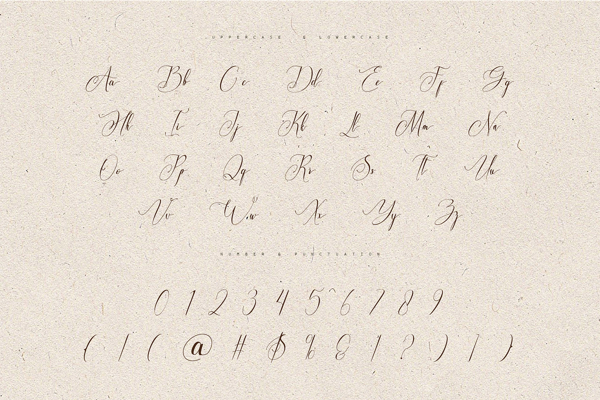 Sereza - A Script Font, a Script Font by Hanstype.com