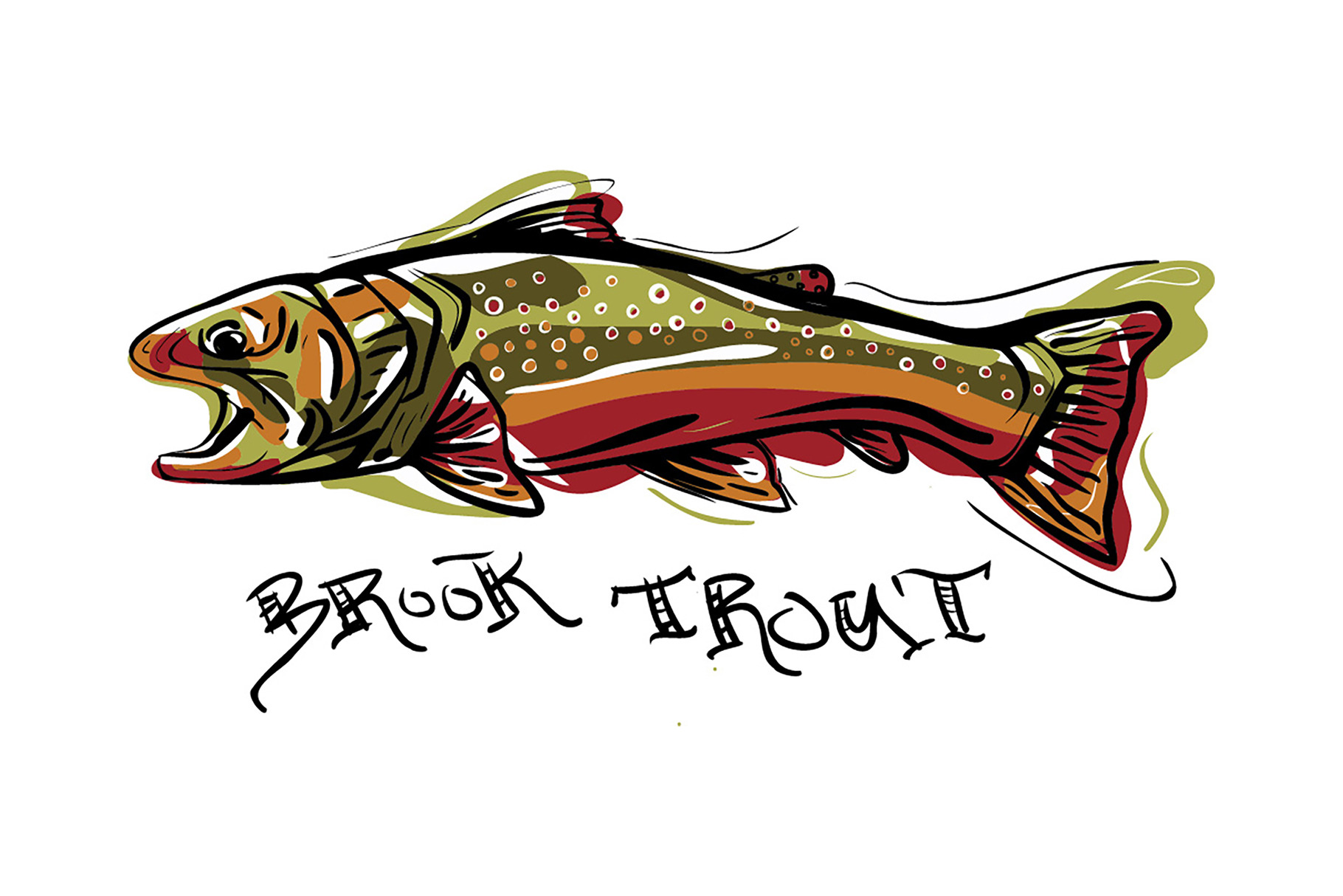 brook trout vector