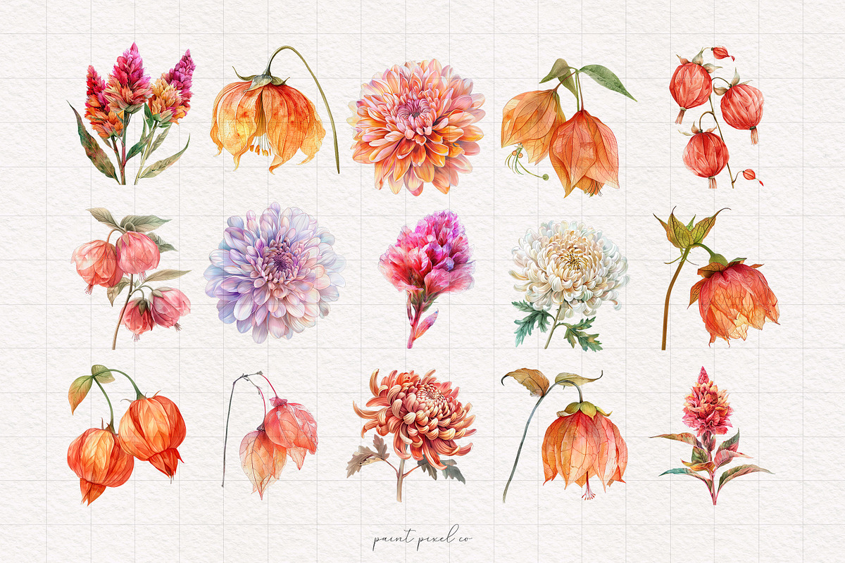 Autumn Flowers Clip art, a Decorative Illustration by PaintPixelCo