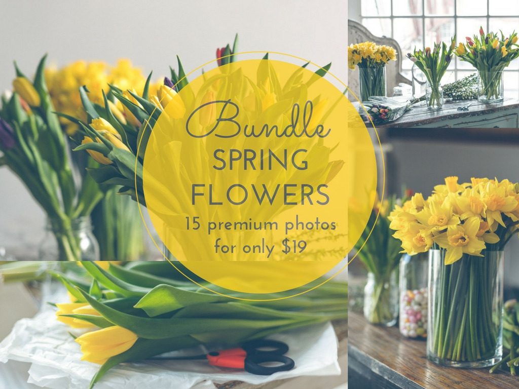 Spring Flowers Bundle, a Nature Photo by Dvoevnore photos