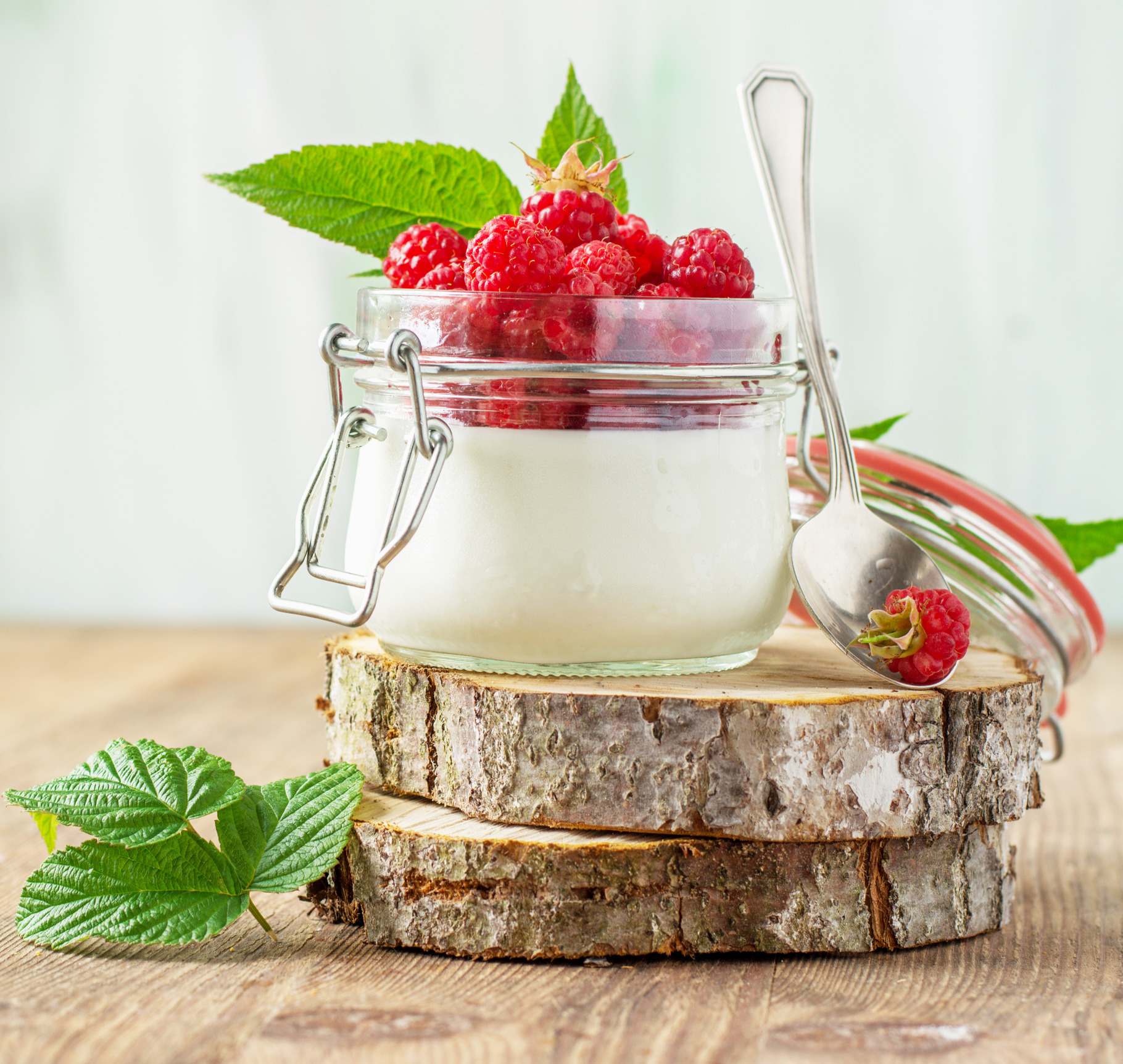 raspberry and yogurt, a Food & Drink Photo by IleishAnna | Creative Market